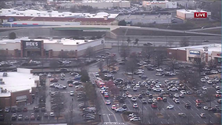 Deceased shooter identified after 2 women were shot at Greenville ...