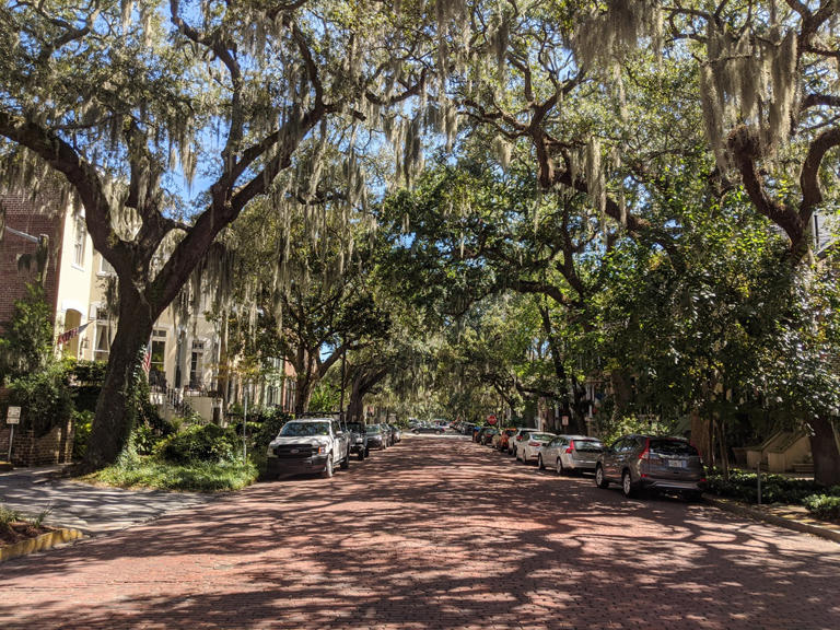 29 Incredibly Fun Things to Do in Savannah, GA