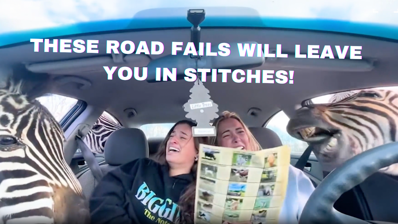 6 Hilarious Road Moments That Prove Driving Can Be a Comedy Show