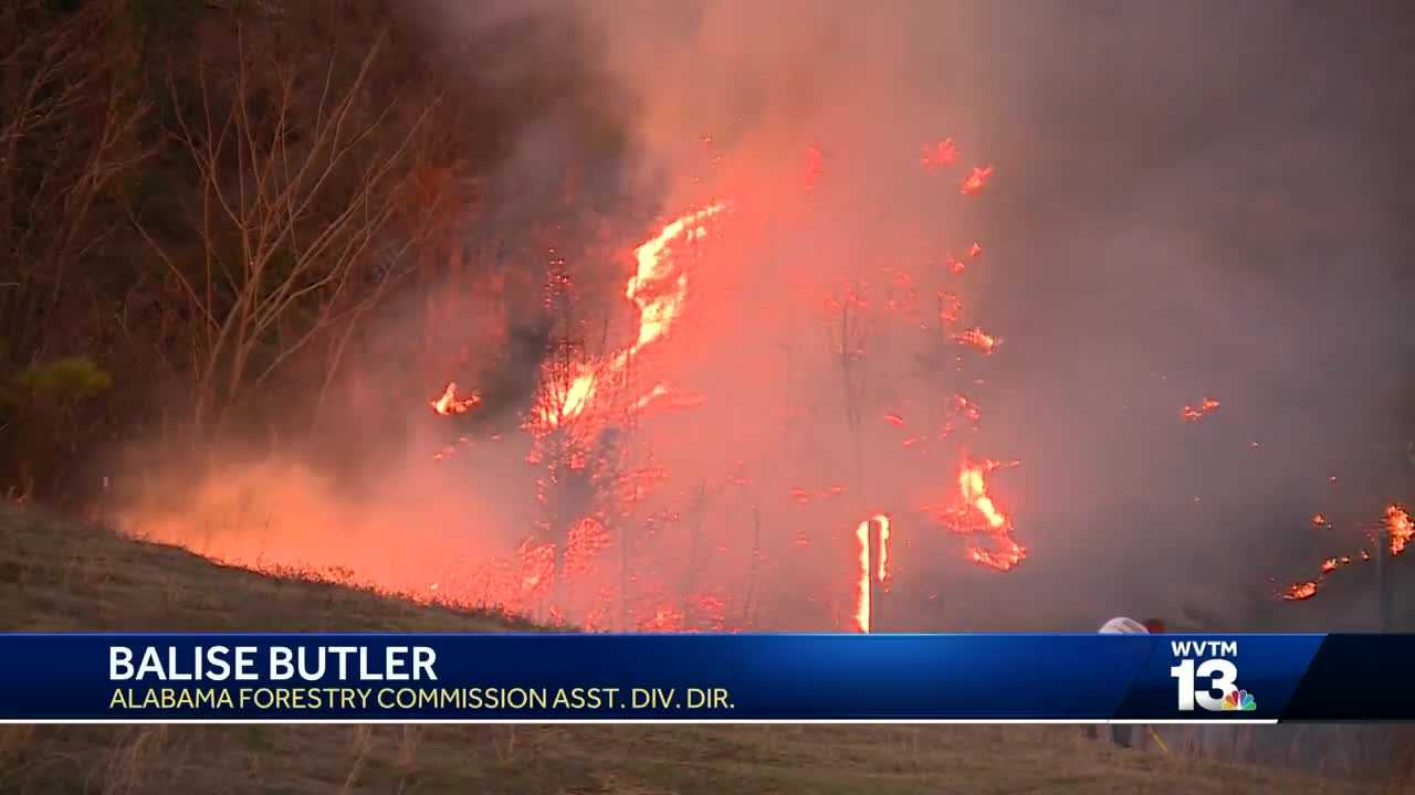 LIVE UPDATES: Nearly 100 wildfires burning across Alabama