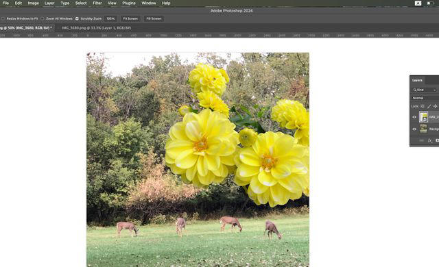 Resizing Layers In Photoshop A Comprehensive Guide To Mastering The Basics