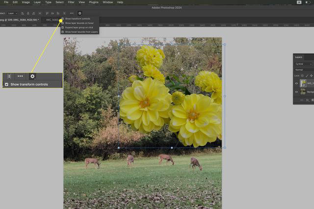 Resizing Layers in Photoshop: A Comprehensive Guide to Mastering the Basics