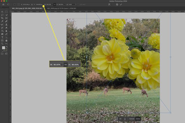 Resizing Layers in Photoshop: A Comprehensive Guide to Mastering the Basics
