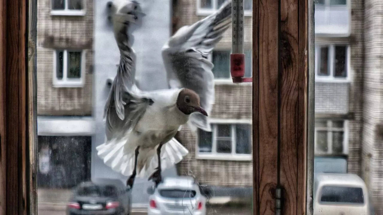 Woman asks friend to visit her after death—2 weeks later, she hears an ...