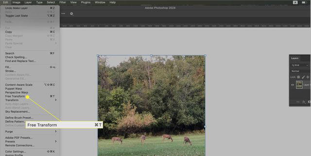 Resizing Layers in Photoshop: A Comprehensive Guide to Mastering the Basics