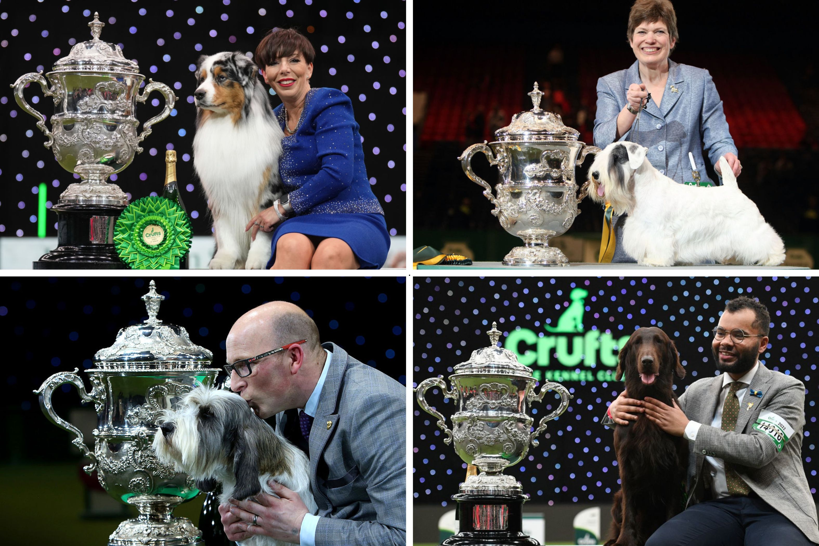 Top Show Dogs: Here are the last 15 adorable dogs to have won Crufts ...