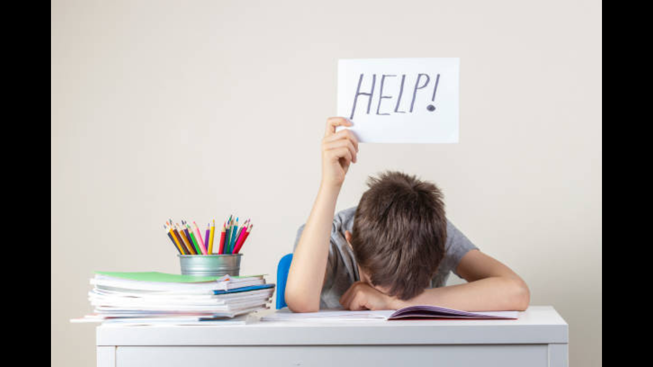 ‘Looking For A Homework Slave’: 22-Year-Old Delhi Student’s Bizarre ...