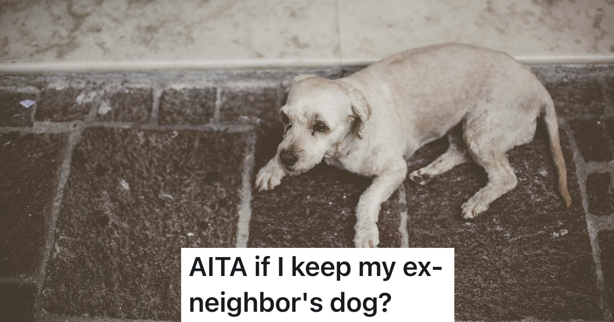 Local Dog Was Lost Repeatedly By Irresponsible Neighbors, So One ...