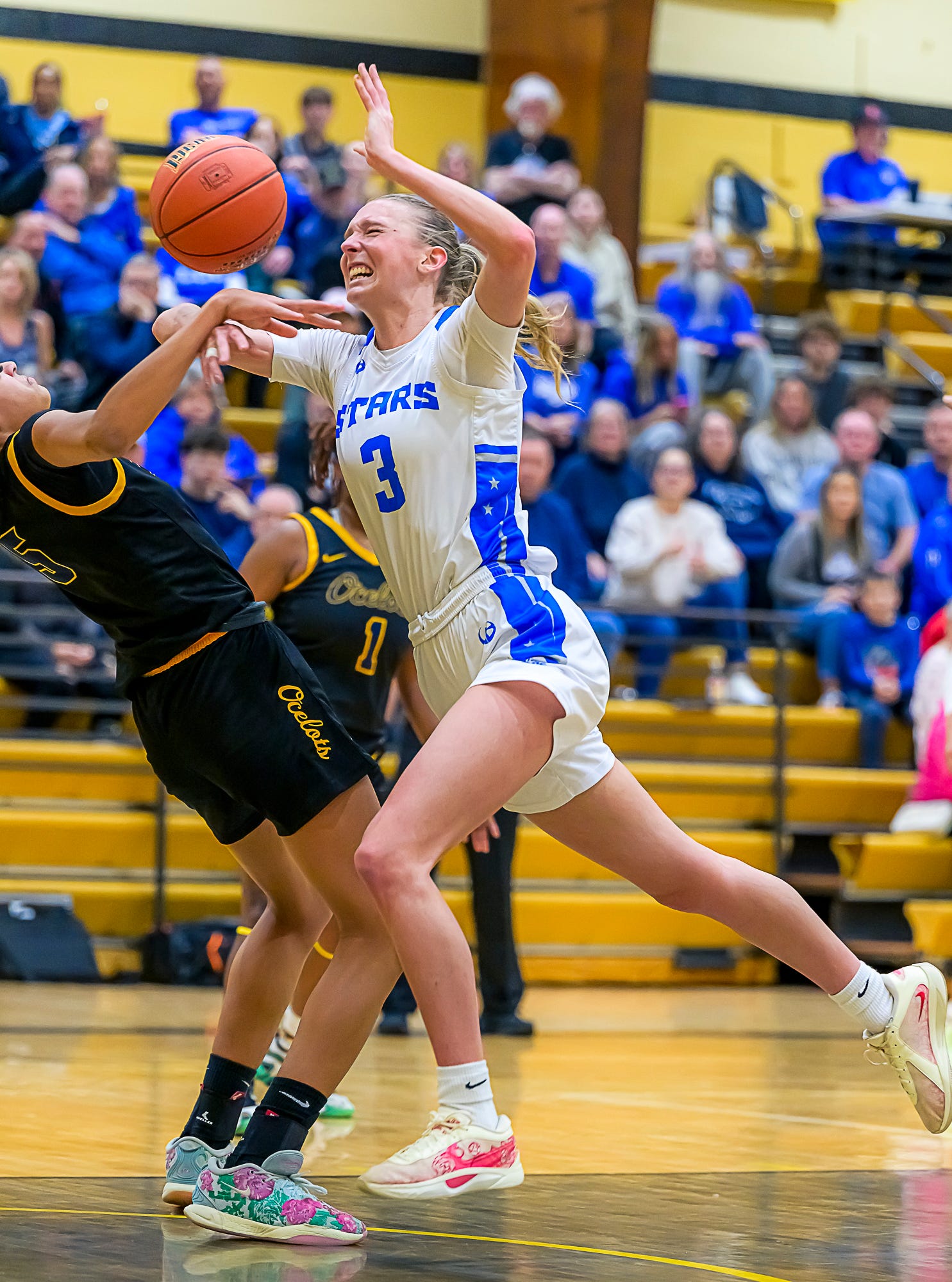 For Lansing Community College’s women’s basketball team, a painful loss ...