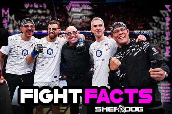 Fight Facts: UFC 313 ‘Pereira vs. Ankalaev'