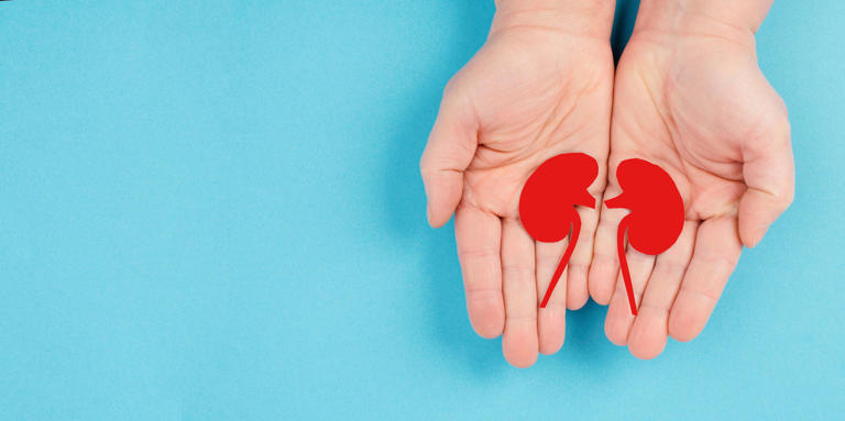 7 simple habits to keep your kidneys happy and healthy