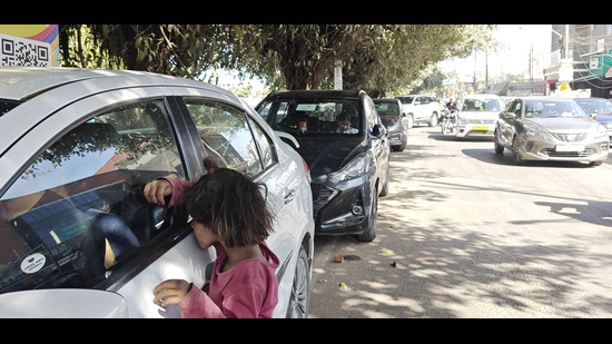 Beggars can’t be choosers, but they adapt & relocate to survive