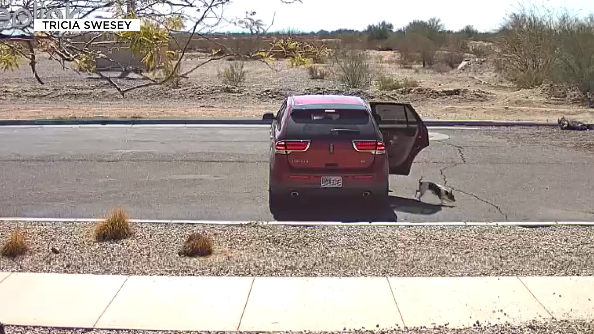 Suspects released after allegedly abandoning dog near Surprise trail