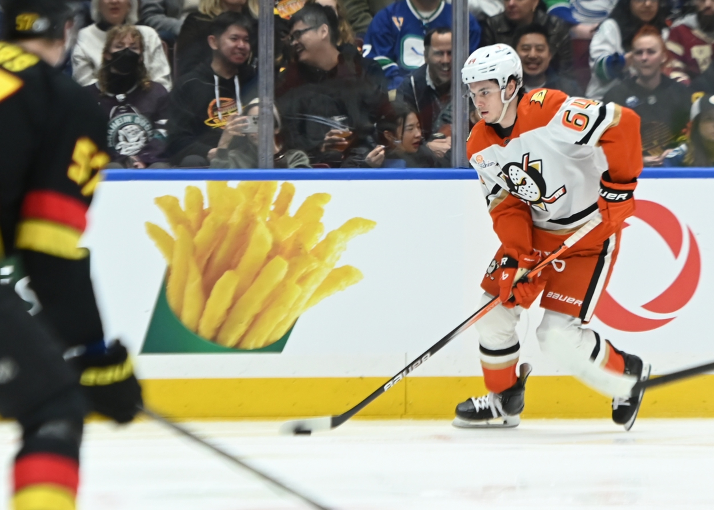 Sam Colangelo's two goals send Ducks past Islanders