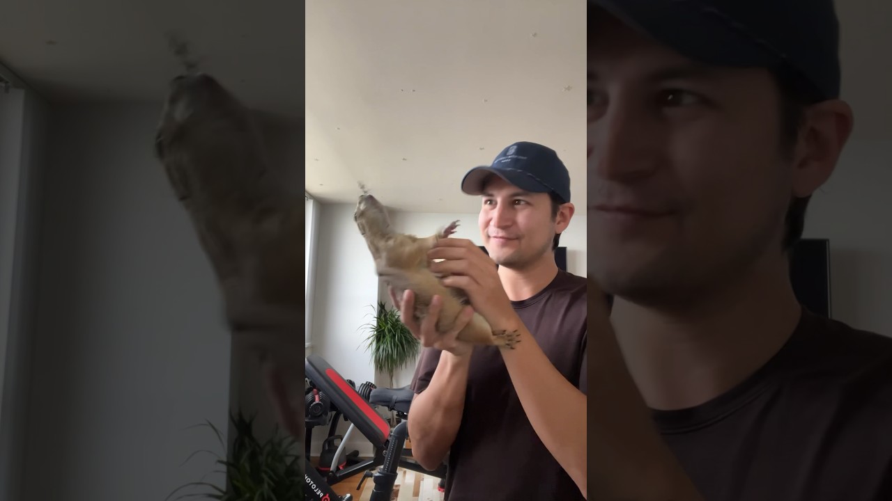 Poppy the Prairie Dog Is Now on Cameo