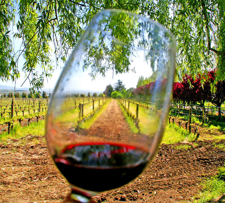 Day Trip to Tijuana, Mexico from San Diego