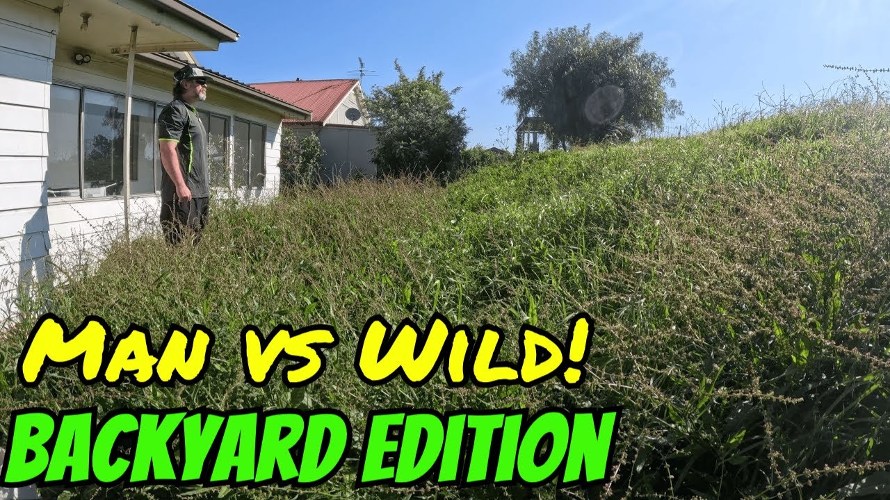 From Knee-High Grass to a Flawless Lawn—Here’s How!