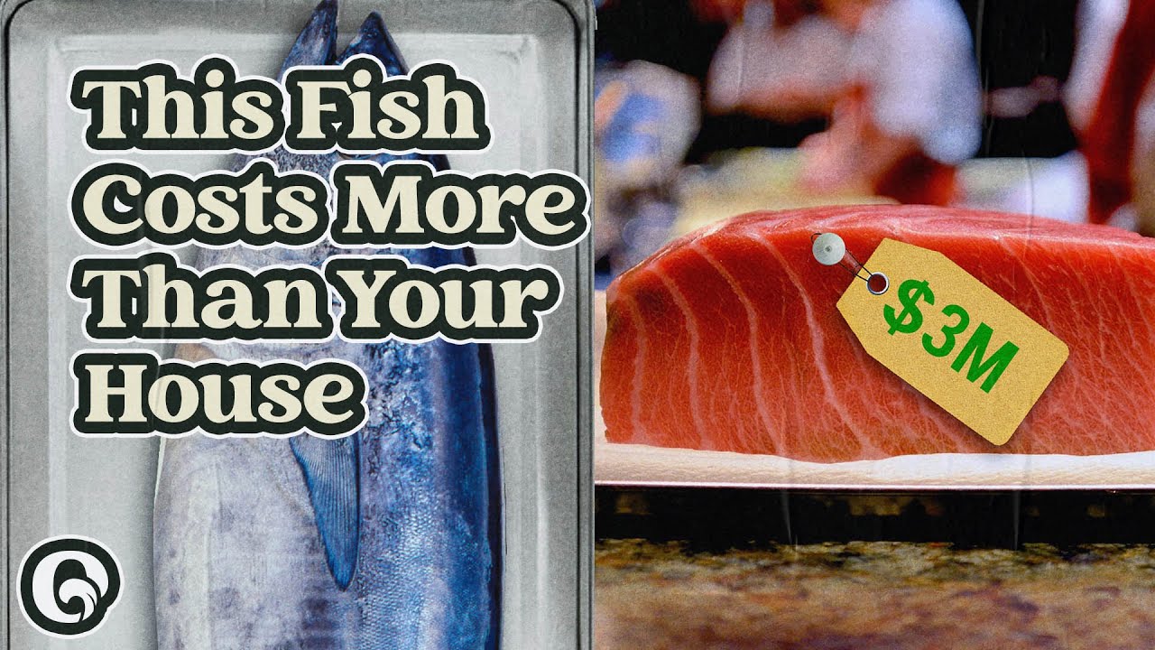 What Makes Bluefin Tuna the World’s Most Expensive Fish