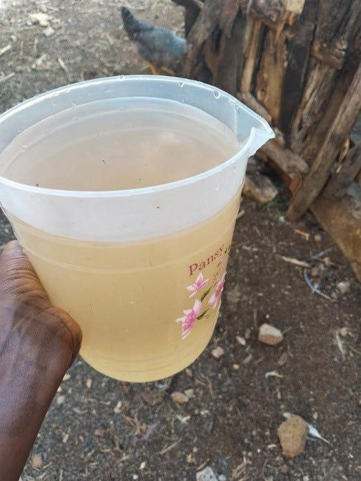 Avis Berry benefit concert: Two teachers are making a difference with ...