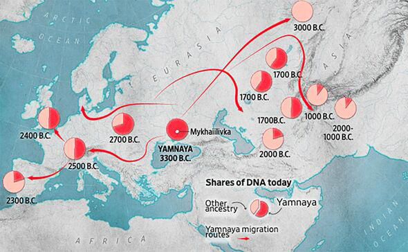 DNA detectives reveal half of humans descended from ancient Ukrainian ...