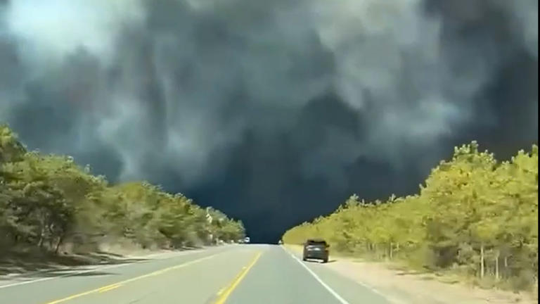 Long Island fires likely caused by person making backyard s'mores ...