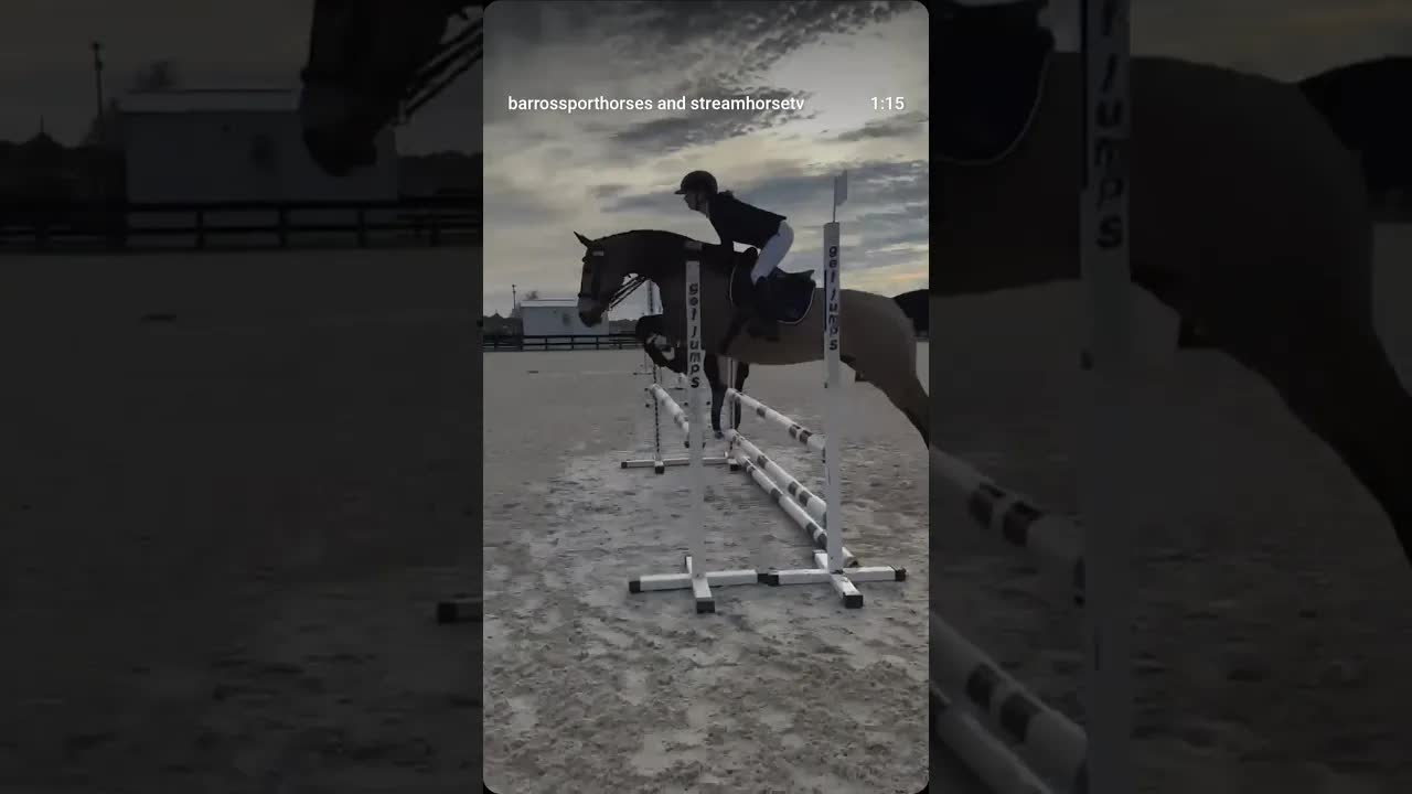 Horseback Riding & Jumping: Training Day at the Equestrian Center