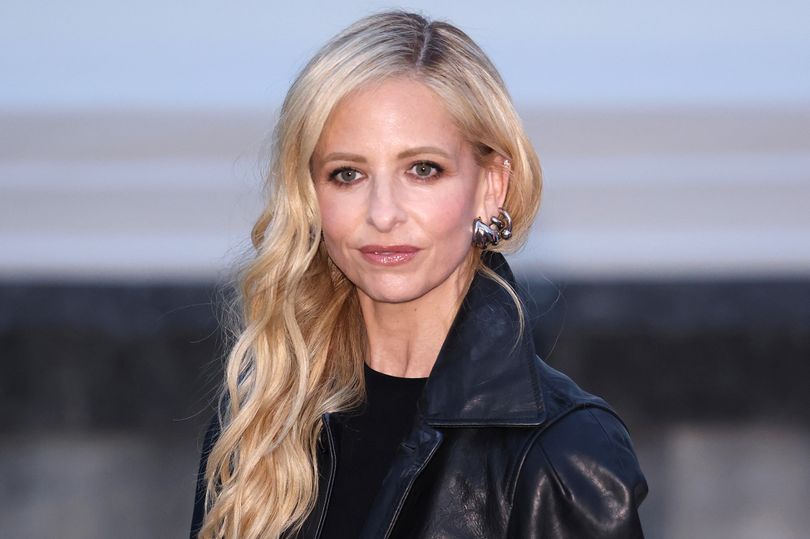 Buffy The Vampire Slayer cast now - Hollywood legend, life-changing op ...