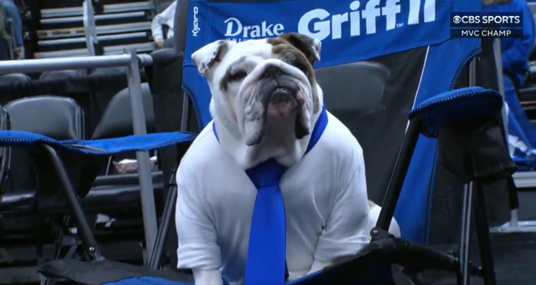 Bulldog mascot steals the show at basketball game