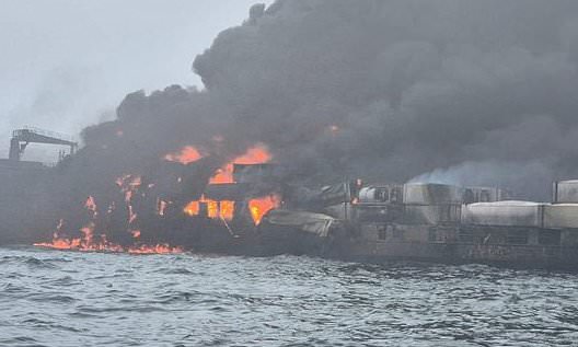 Oil tanker bursts into flames after being struck by container ship