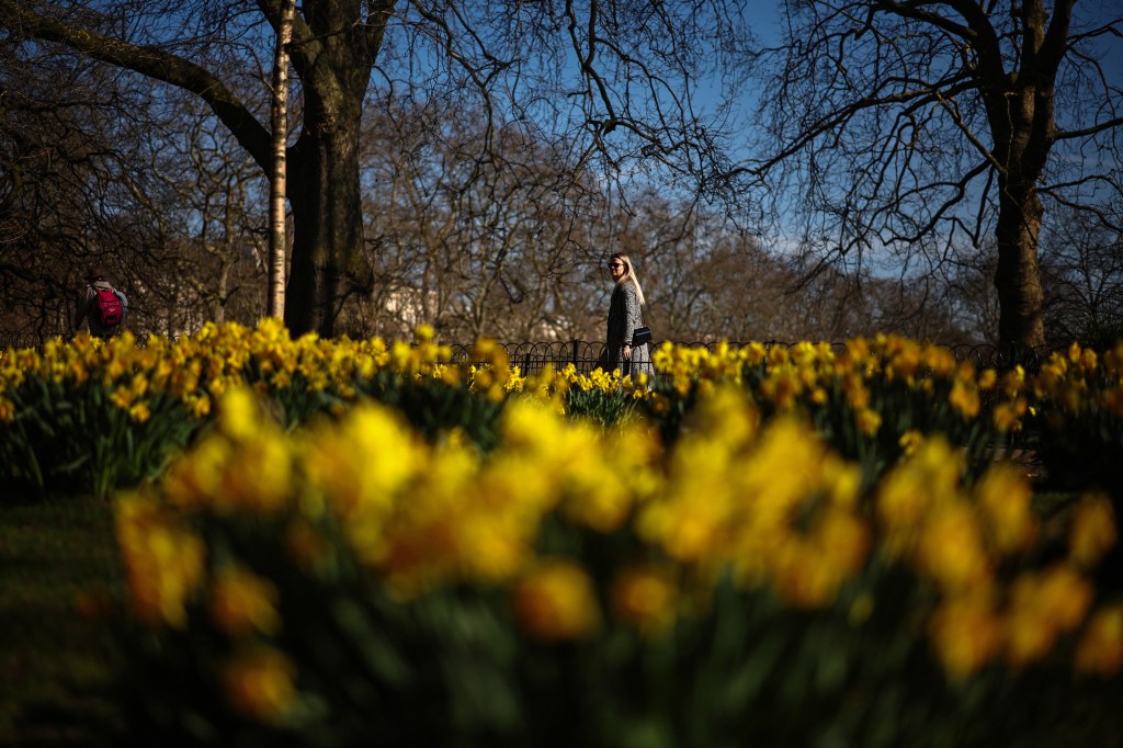 Rare polar vortex collapse threatens to replace UK’s sunshine with snow