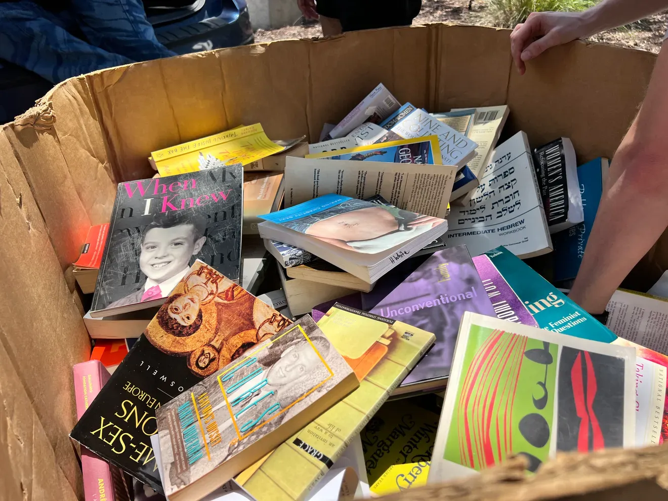 New College threw 'woke' books in trash. How would it treat Ringling's ...