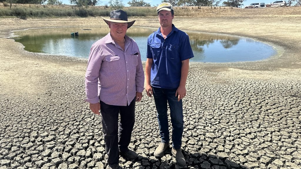 SA farmers calls for more support during drought conditions