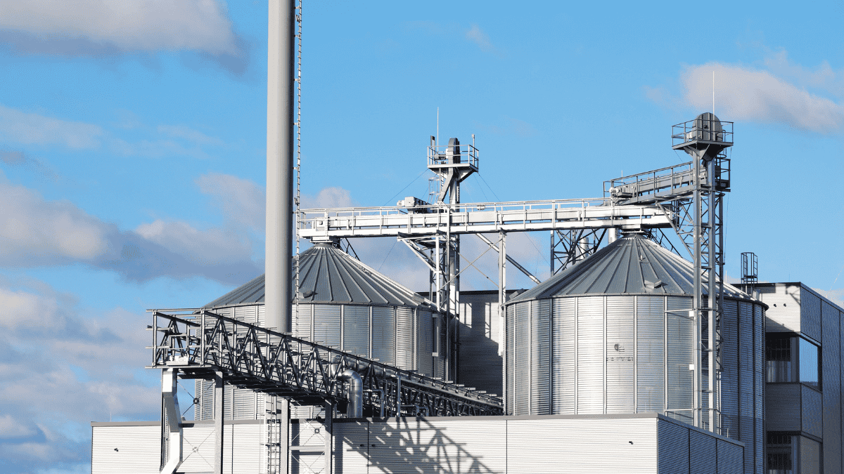 L’Algérie veut relancer 3 usines qui appartenaient à des oligarques