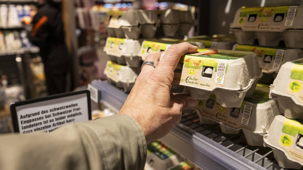 Rayon vidé au supermarché: Les œufs suisses sont presque en pénurie ...