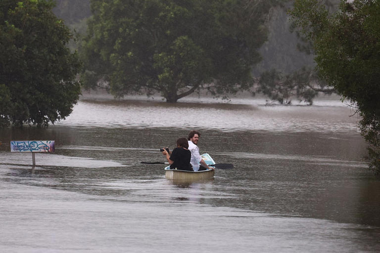 Sharks spotted in flooded canals as Australia grapples with Cyclone ...