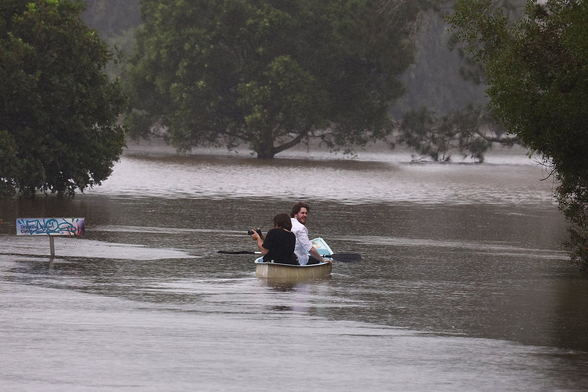 Sharks spotted in flooded canals as Australia grapples with Cyclone ...