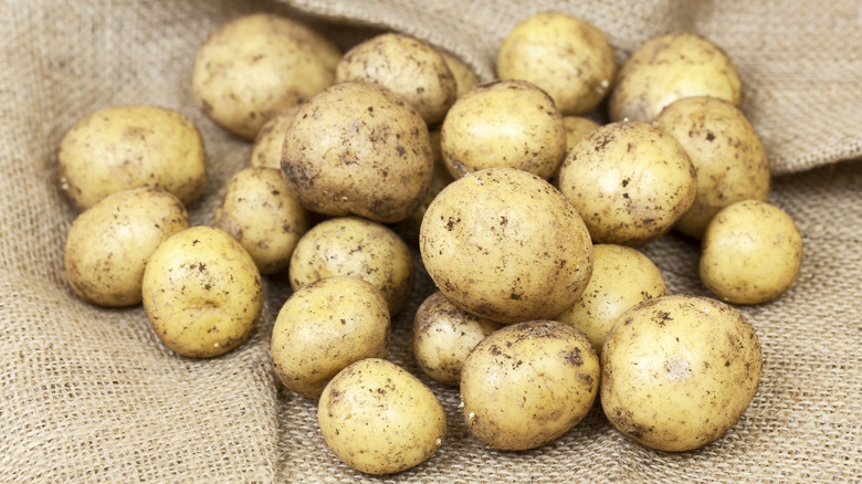 Why Your Store-Bought Potatoes Are Bruised And Blemished (And How To ...