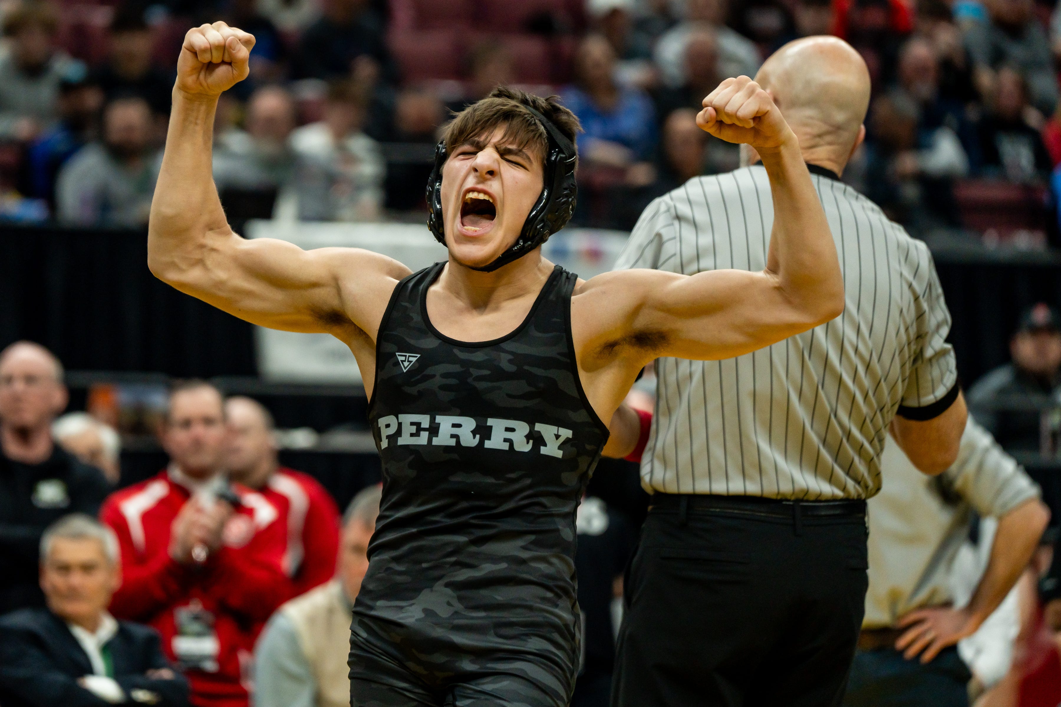 Northeast Ohio high school district wrestling results, recap
