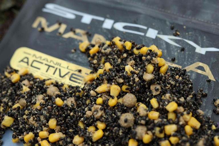 10 essential spring carp fishing tips | Tom Maker