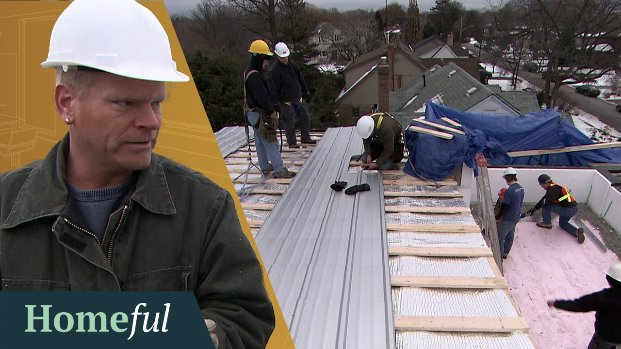 Inside the Eco-Friendly Home with a Live Green Roof and Solar Panels!