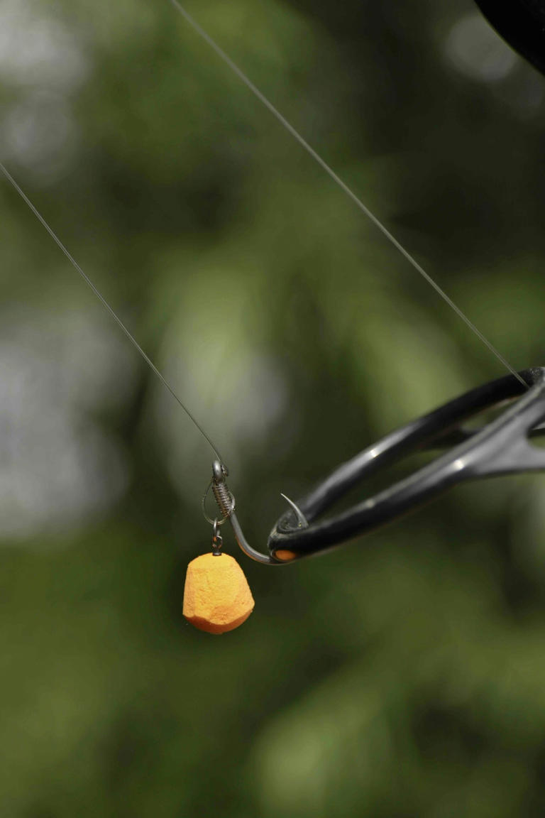 10 essential spring carp fishing tips | Tom Maker
