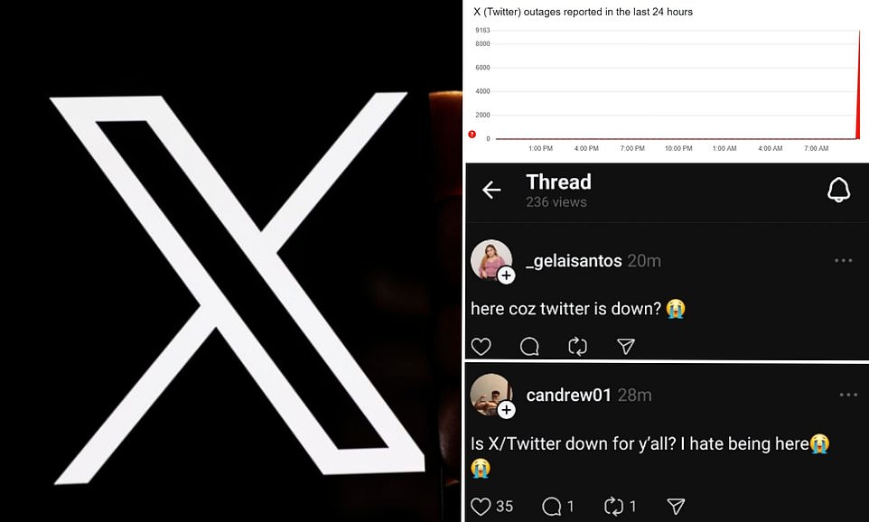 Musk's X is down: Social media app crashes for users around the world