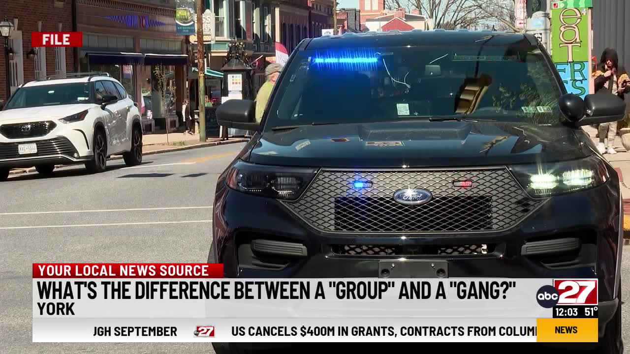 What's the difference between group violence and gang violence?