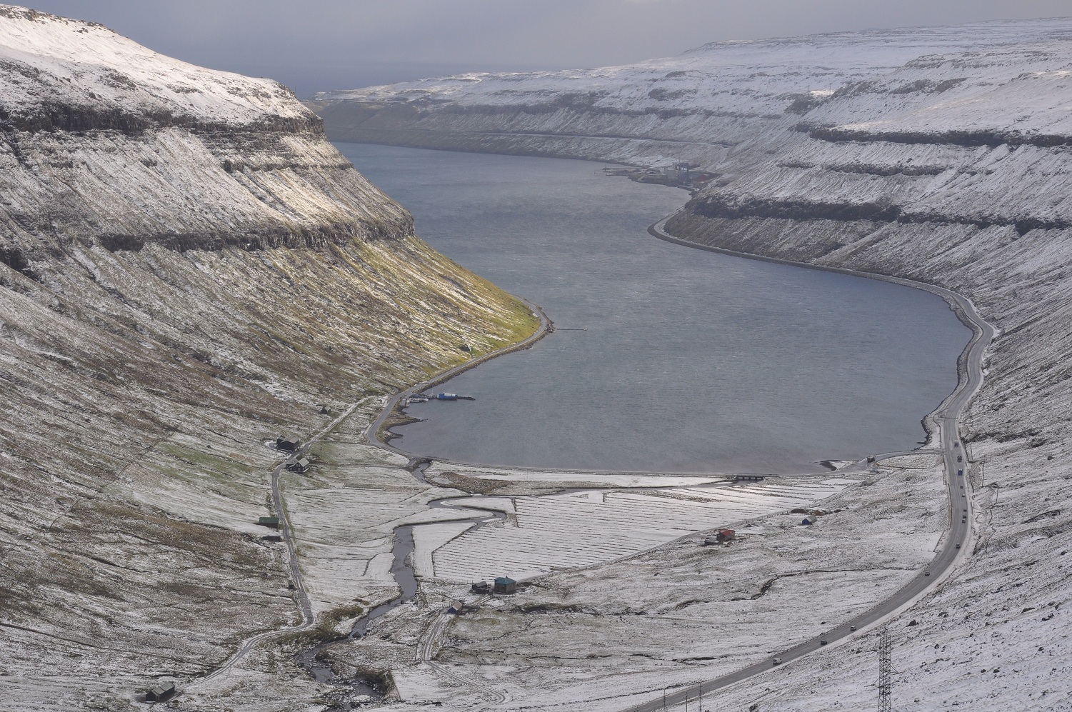 The 30 most terrifying parasitic diseases in the world