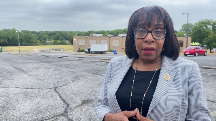 Here's how much Dallas City Council member Carolyn King Arnold's failed ...