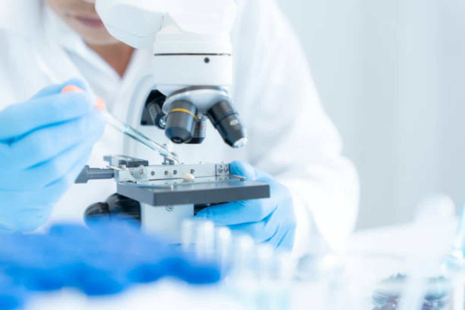 Elliott builds big stake in life-science firm Bio-Rad Labs, WSJ reports