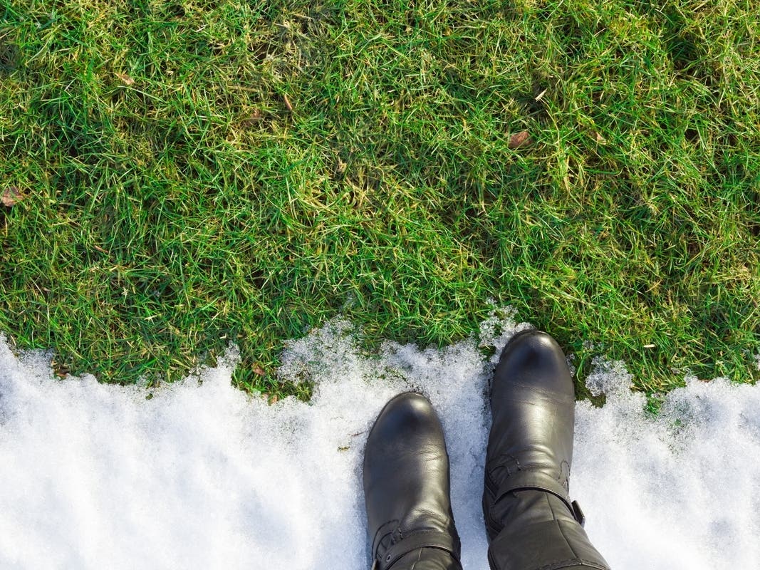 Mild Spring-Like Days Ahead: RI Weekly Weather Forecast