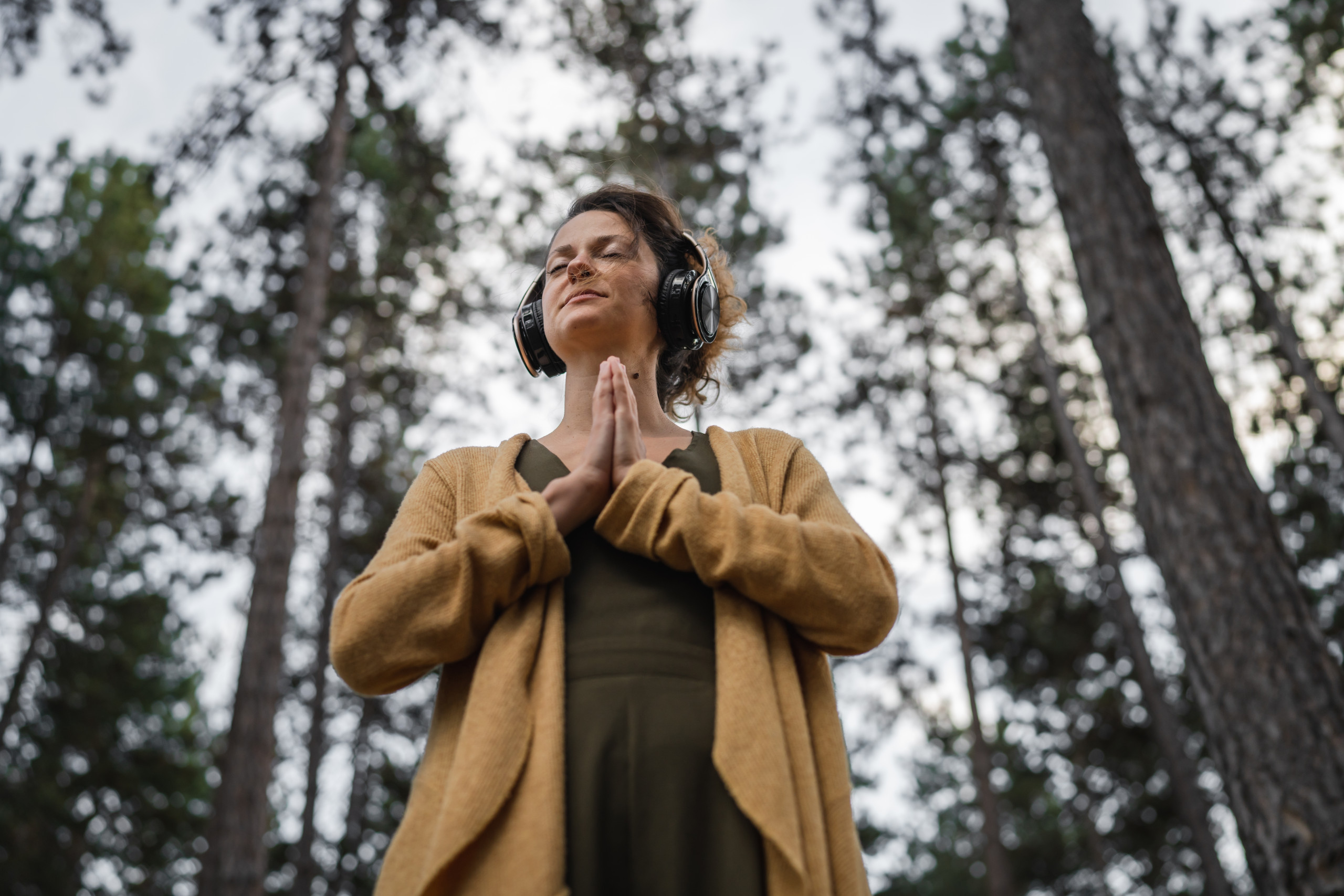 What are the seven species of Israel?