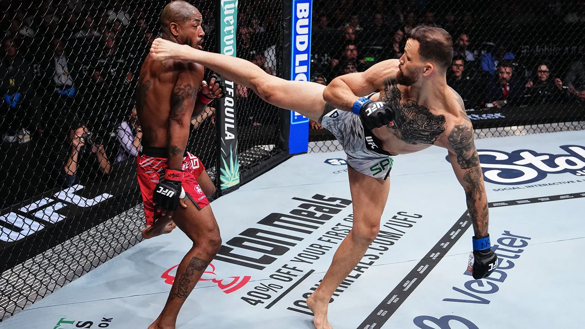 Son coup de pied impressionnant met l'adversaire K.O. : les fans sont ...