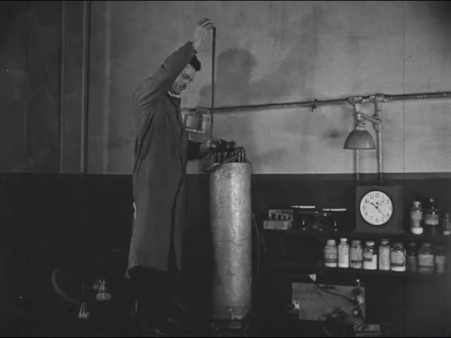 Southern Pine & Game Birds: A 1920s American Wildlife Documentary